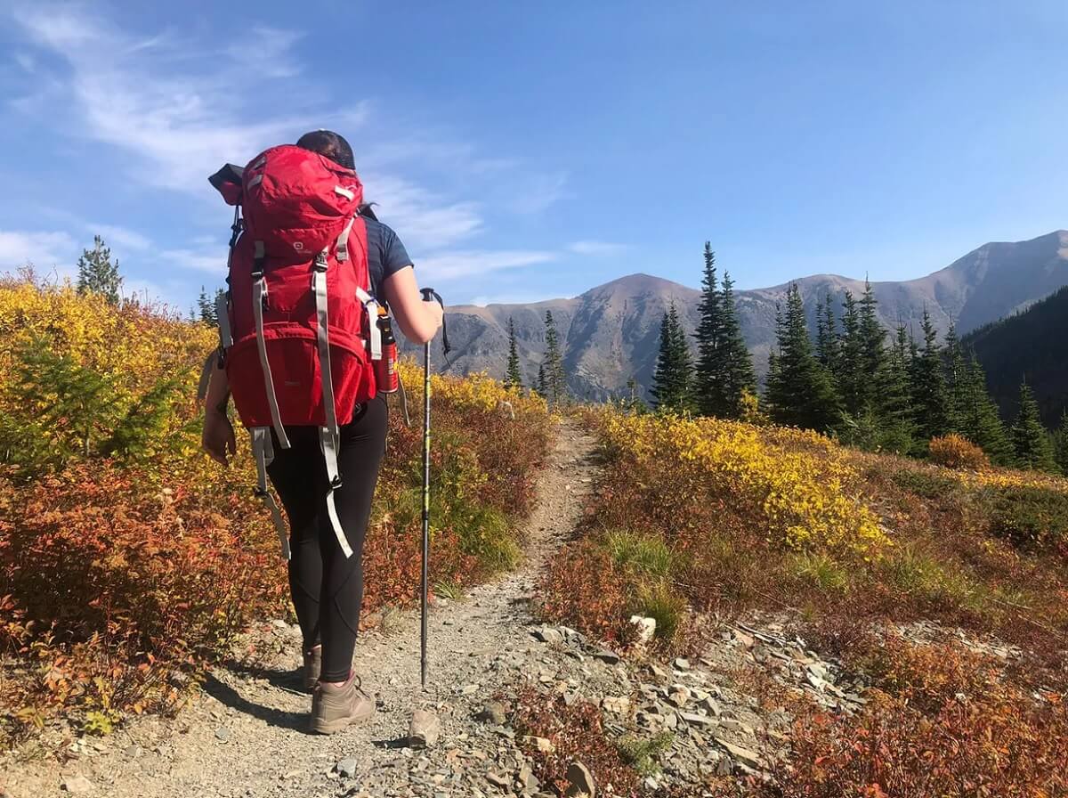 Mountain Navigation: A Guide to Staying Safe and Finding Your Way ...