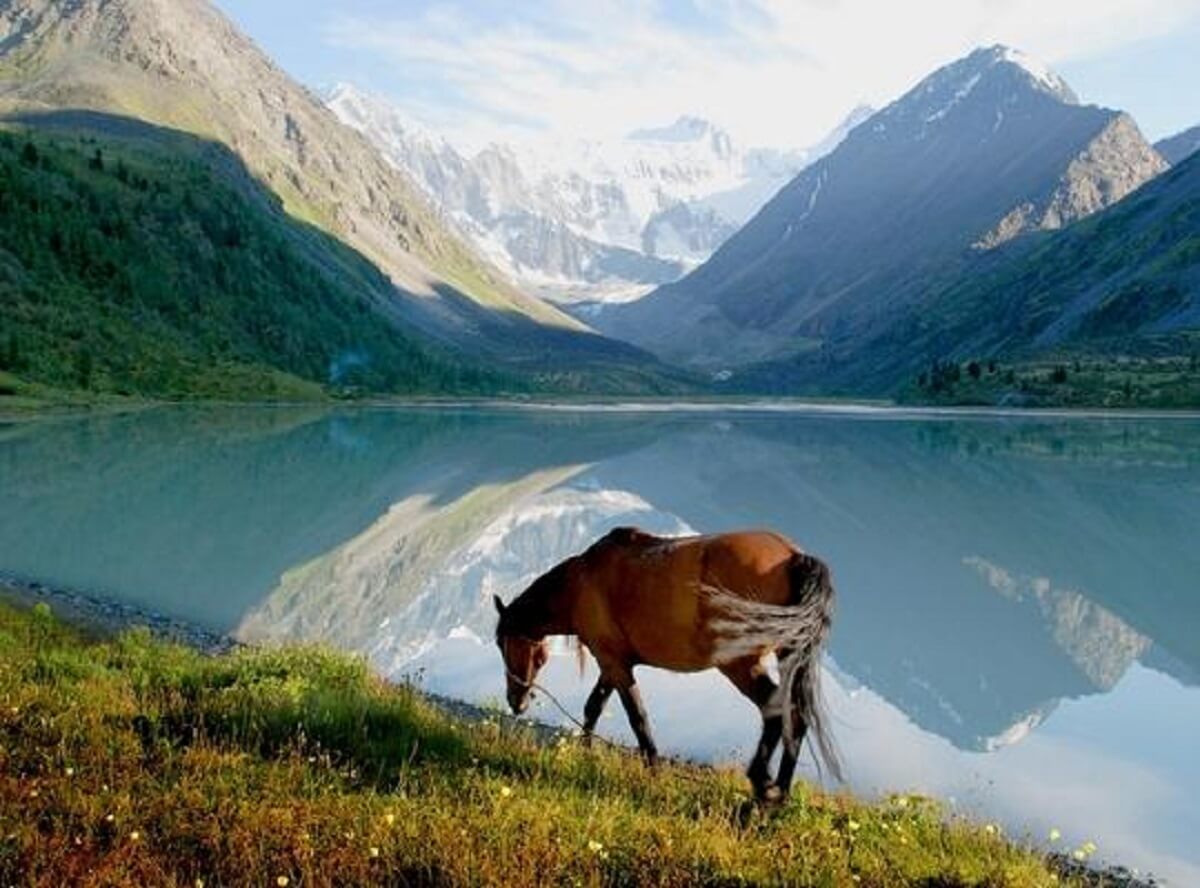 Best time to visit mongolian altai mountain - Discovering the Magic of ...