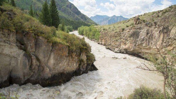 Altai Mountains Rivers & Lakes: Katun, Chuya + Hidden Gems