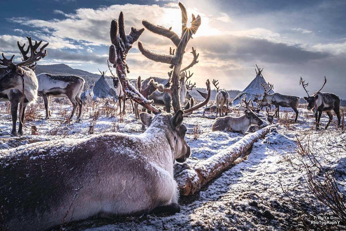 Trekking to Darkhad Valley: A Hidden Jewel of Mongolia - Discover Altai