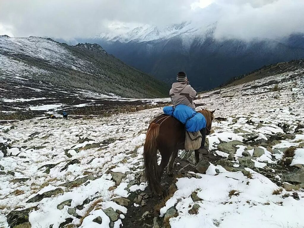 Belukha Mountain: Siberia's Tallest Peak (Altai Guide)