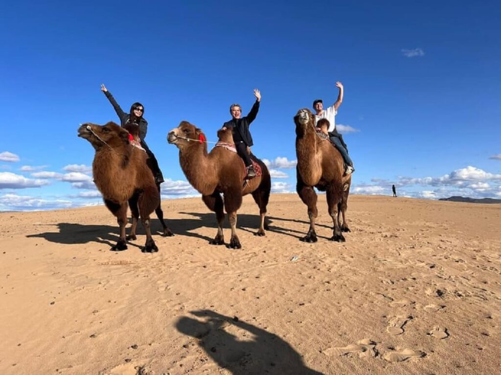 Gobi Desert Animals: 15+ Species That Survive Mongolia's Extremes